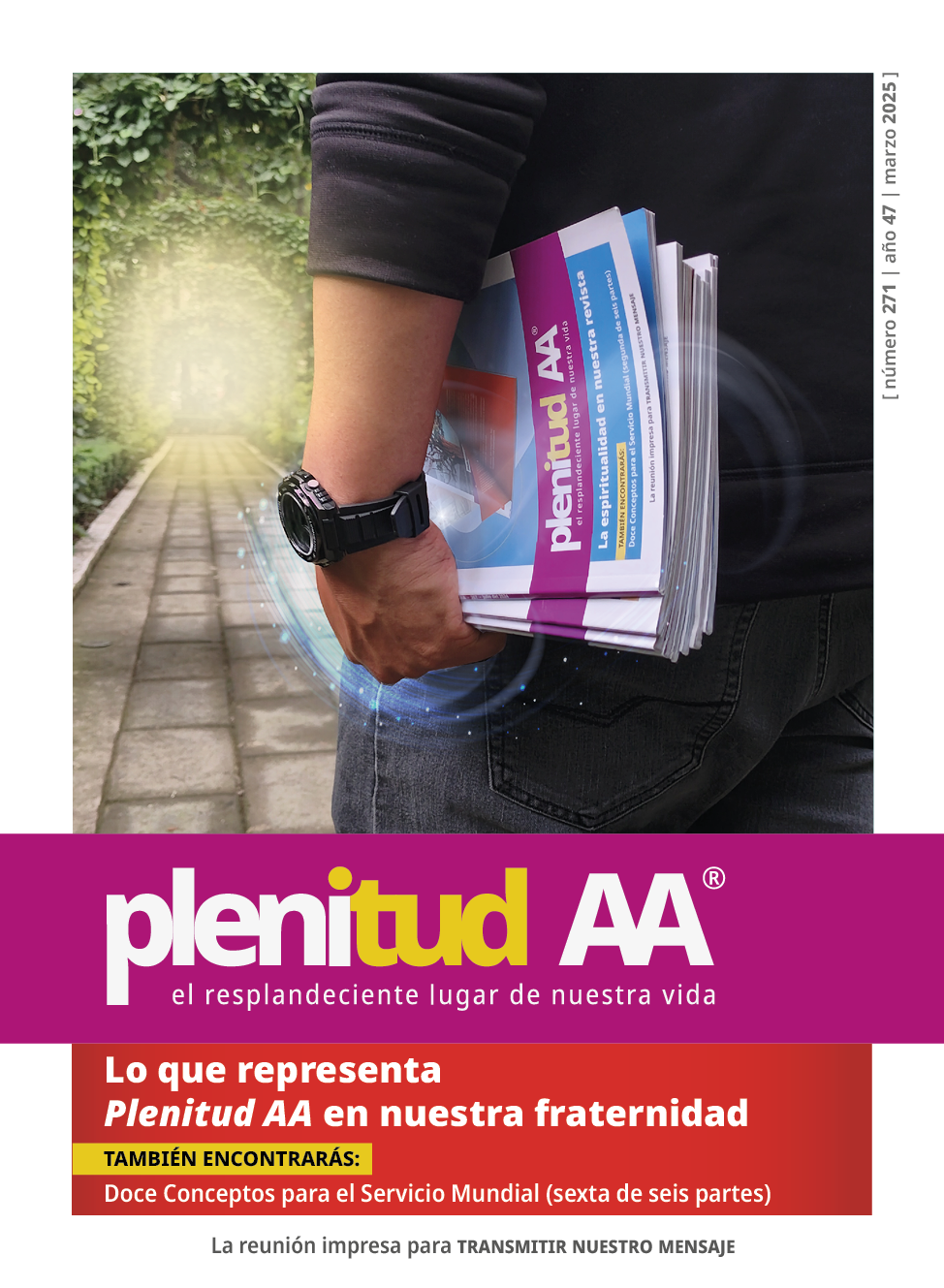 Revista Plenitud