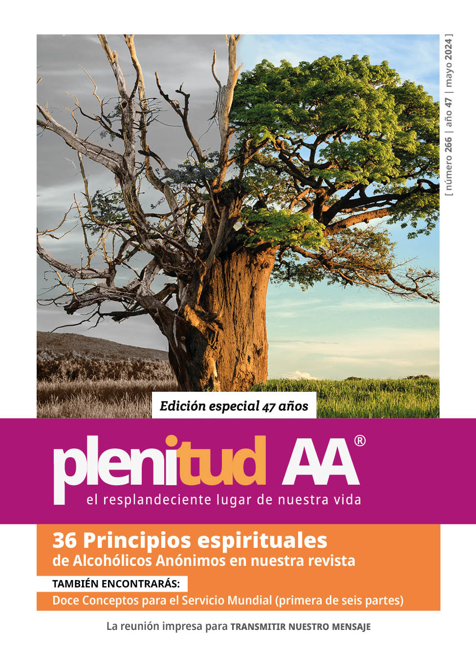Revista Plenitud